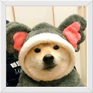 李二狗的假说演绎法 