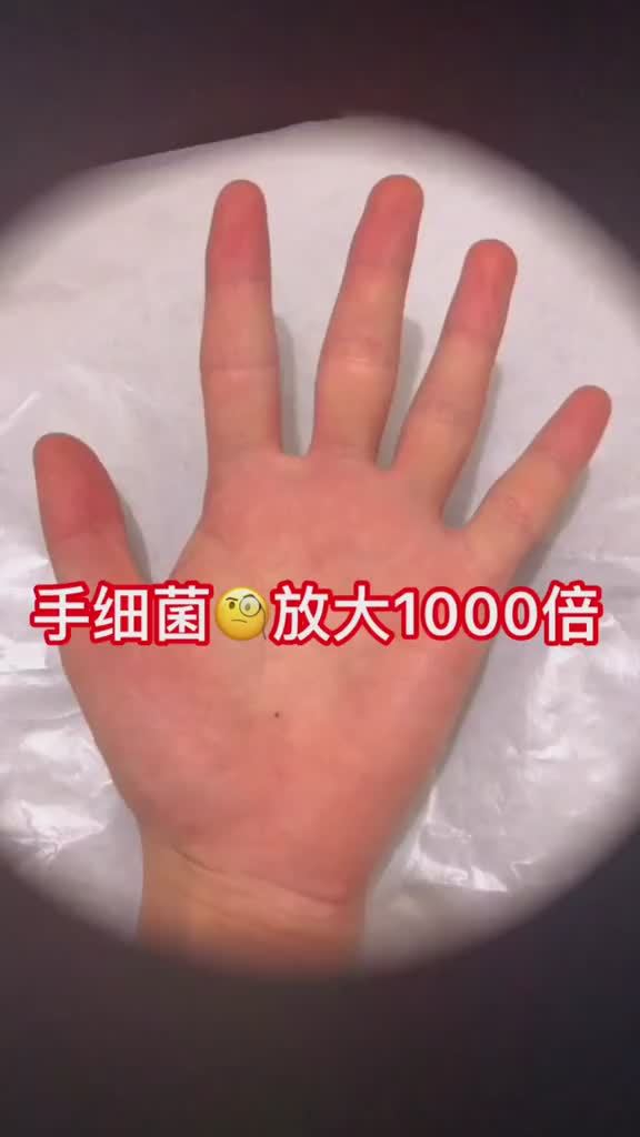 178_我们的手上到底有多少细菌显微镜下看一看