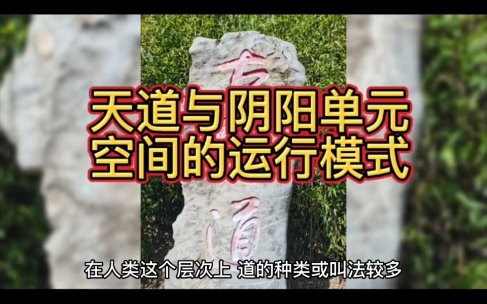 天道与阴阳单元空间的运行模式