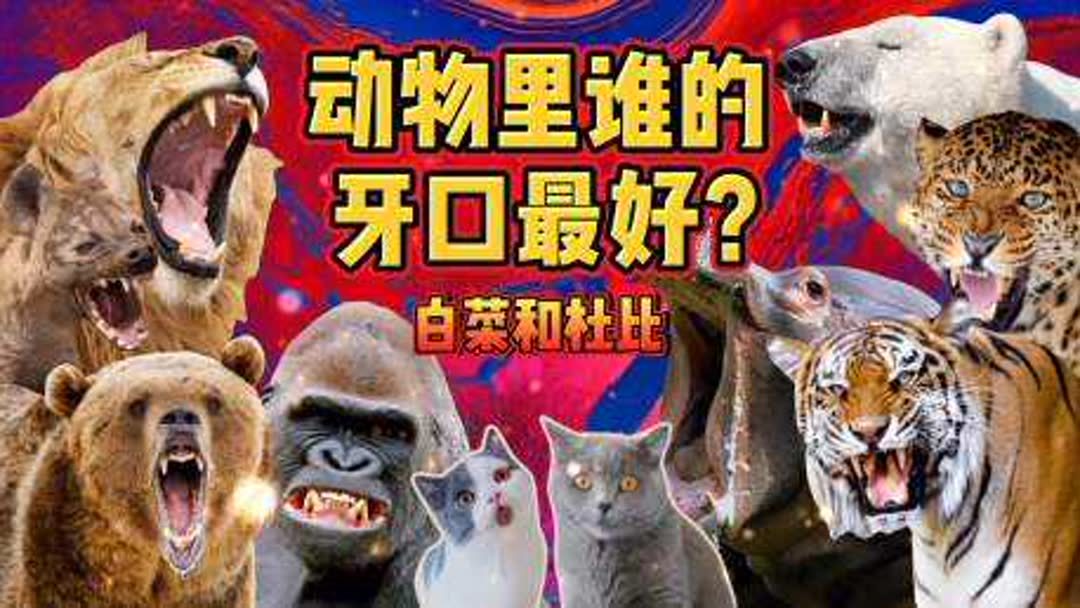 地球上谁的牙口更强大?盘点全球十大拥有高能咬合力的猛兽们!