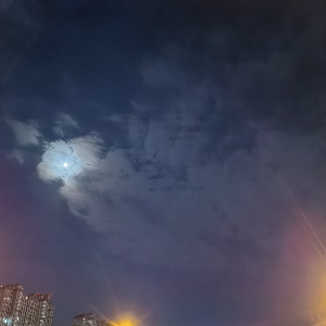 逐梦启航啊 
