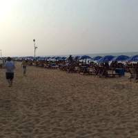 酷友166908279503367 