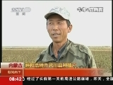 [视频]大秋收·内蒙古土豆调查报告:种多种少谁说了算?