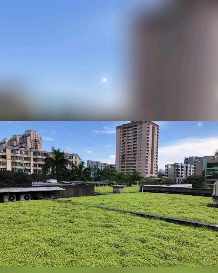 ...公路边坡修复,矿山边坡修复,生态护坡修复技术咨询,屋顶绿化绿地贴...