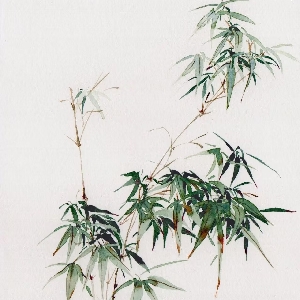 爱学习的昂之老师 