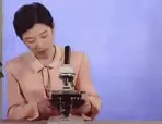 2观察叶绿体和细胞质的流动
