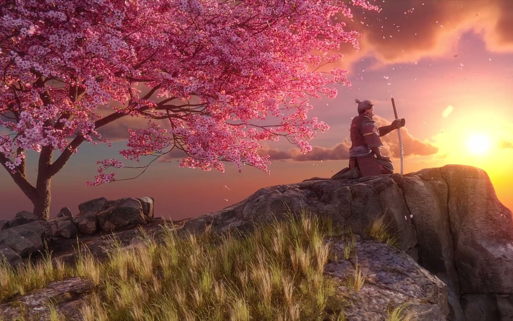 ...:西方人眼中的日本武士是什么样的?参见阿汤哥的《最后的武士》