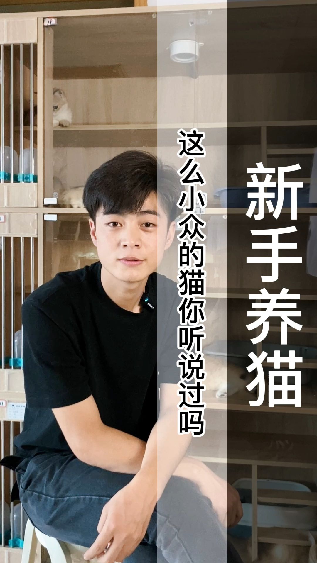 这么小众的猫你听说过吗?波斯猫多少钱一只?波斯猫的价格是多少?...