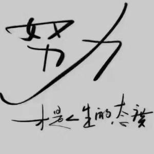 成都IT民工 