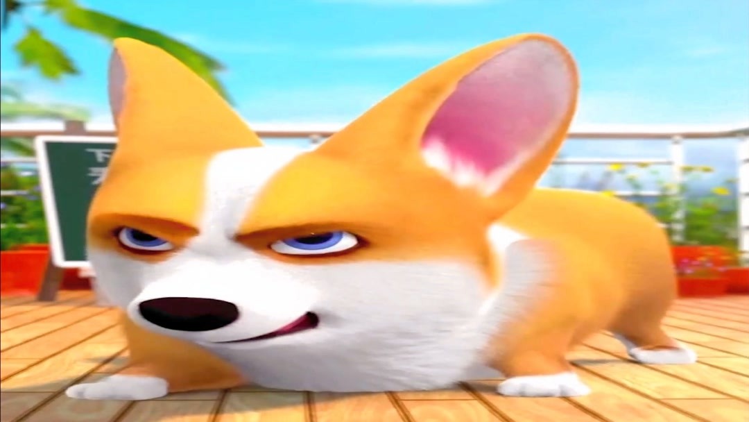 飞狗MOCO:狗狗,你准备好了吗