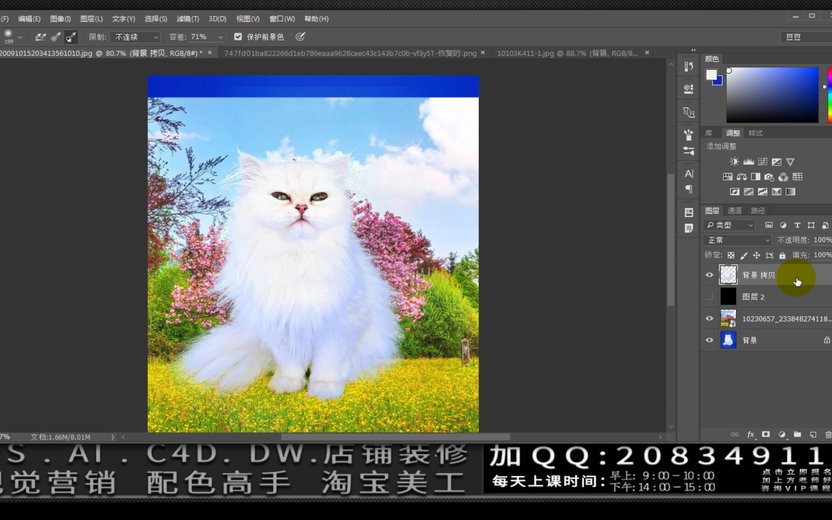 PS教程背景橡皮擦抠取毛发