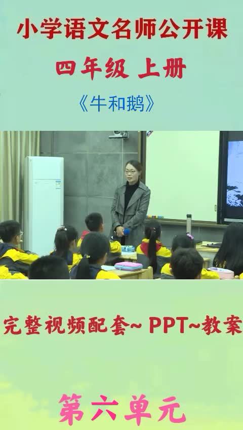 小学语文优质公开课...