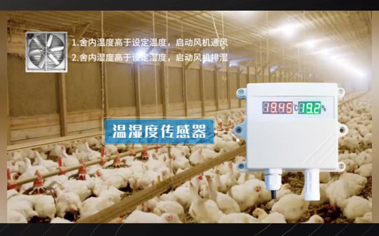 智能生态养殖方案 改变养殖方式