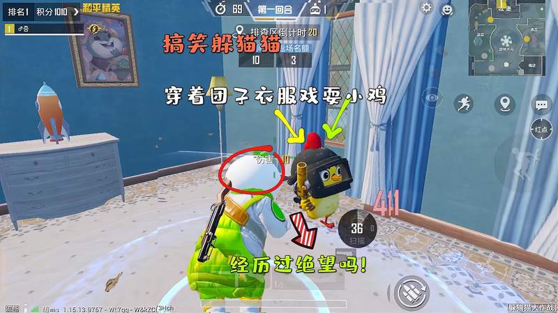 小憨憨:搞笑版躲猫猫穿着团子衣服戏耍小鸡!经历过绝望吗!