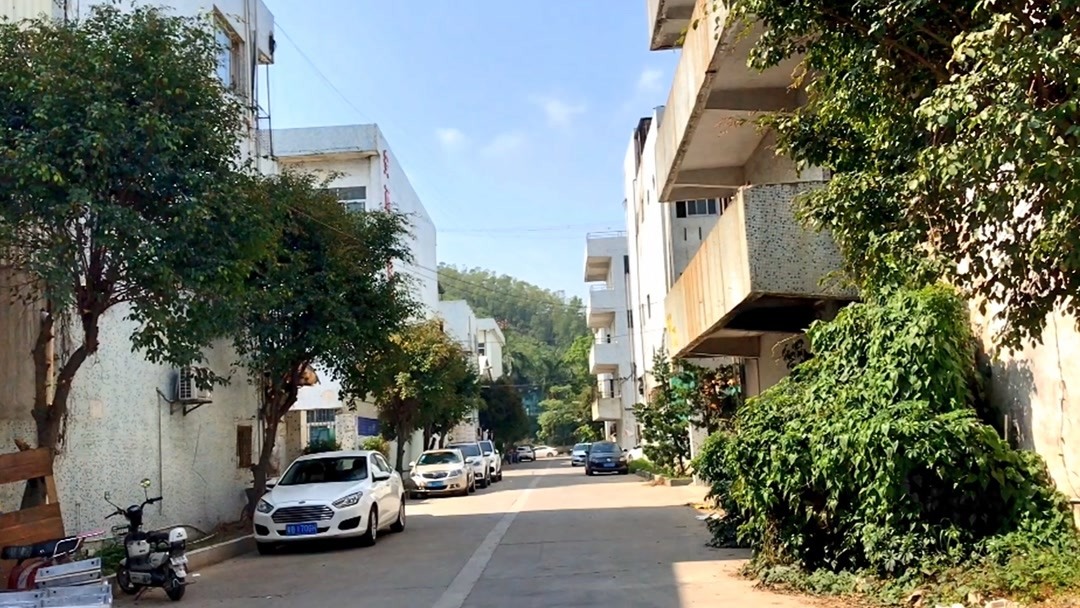 广东东莞:实拍虎门镇白沙第三工业区,全是厂房招租房东都要哭了