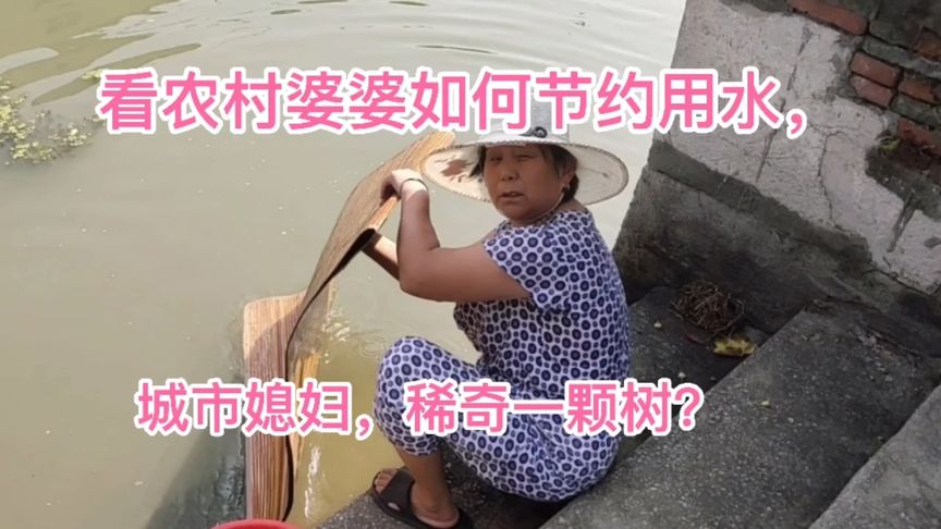 看农村婆婆如何节约用水,城市媳妇确稀奇一颗树?