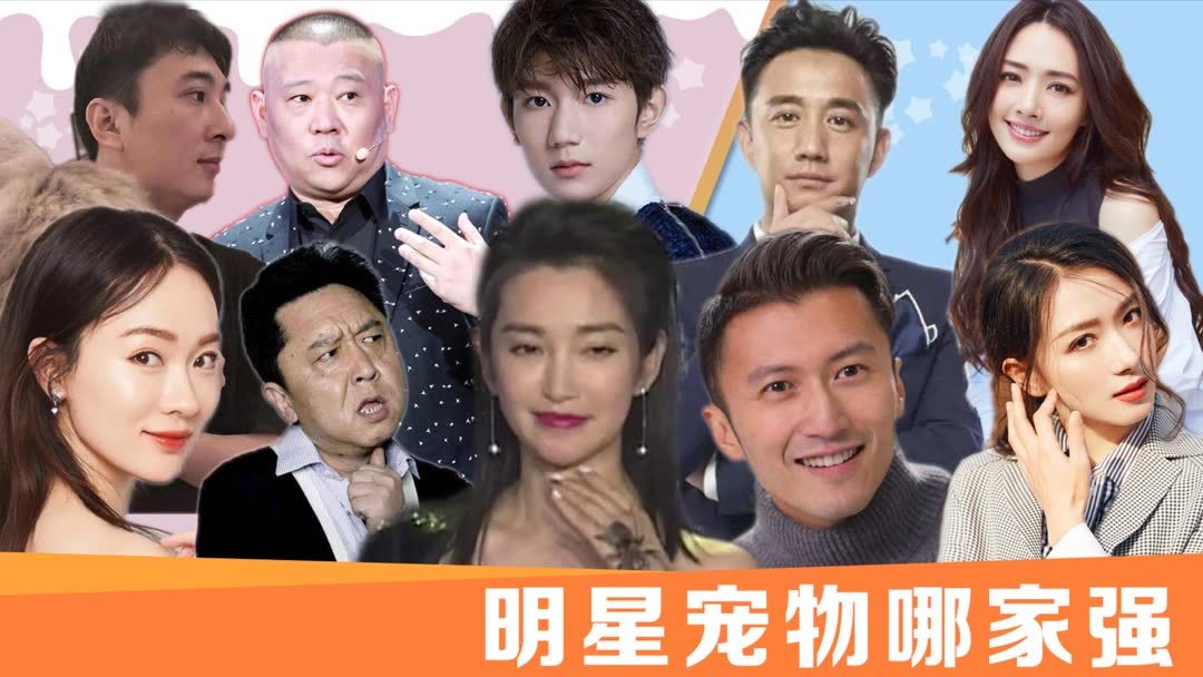 明星十大奇葩爱宠排行榜:老郭被宠召唤,李冰冰宠物能当戒指戴