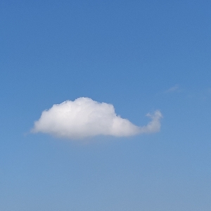 万万没想到主编 