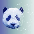 熊熊科技说 