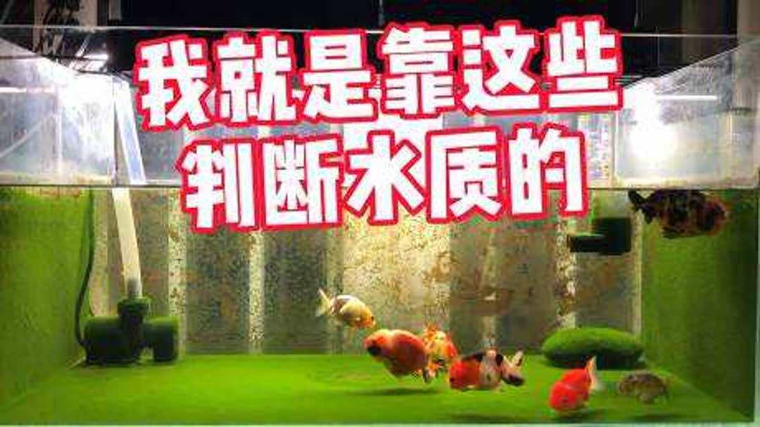 不用试纸测试,我是怎样判断水质好坏的,几个小点跟你分享