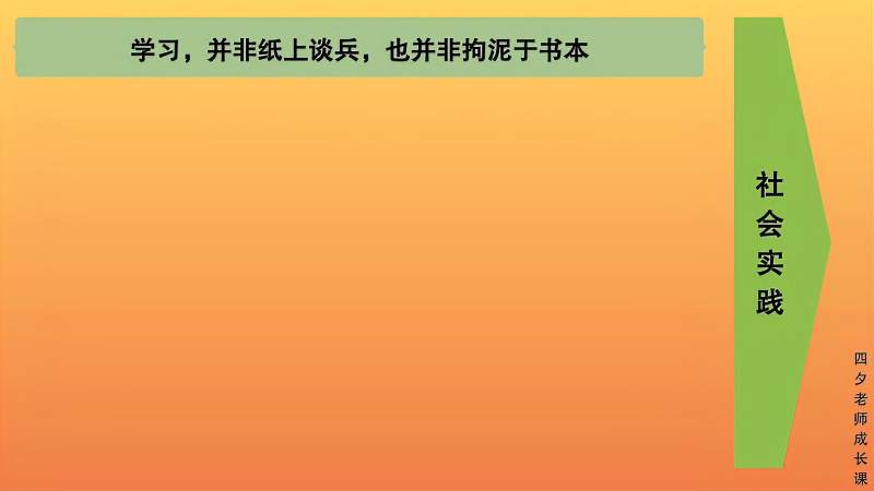 学习能力训练营:社会实践