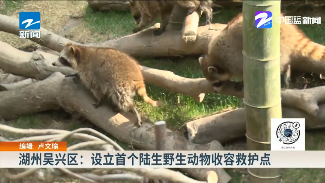 湖州吴兴区:设立首个陆生野生动物收容救护点