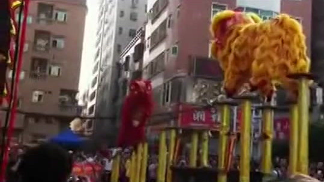 舞狮子表演视频 迎春节舞龙舞狮表演视频