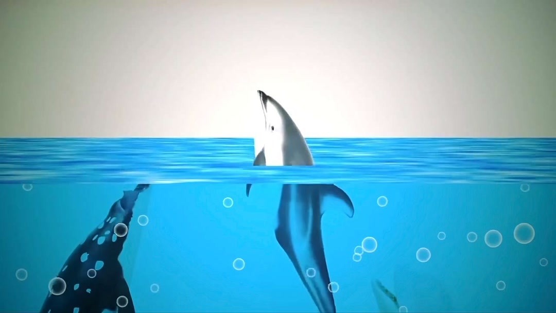 白鲸,鲸鲨,座头鲸,虎鲸,抹香鲸海豚在聚会,儿童海洋动物动画