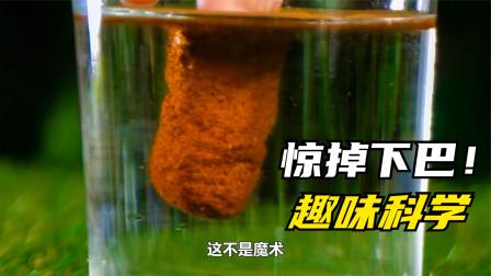 几个简单的家庭亲子小实验,从小陪孩子一起玩,点亮孩子的好奇心