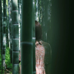 阳光小花农 