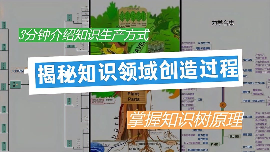 3分钟介绍知识生产方式,揭秘知识领域创造过程,掌握知识树原理