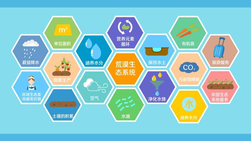 荒漠生态系统有什么功能?