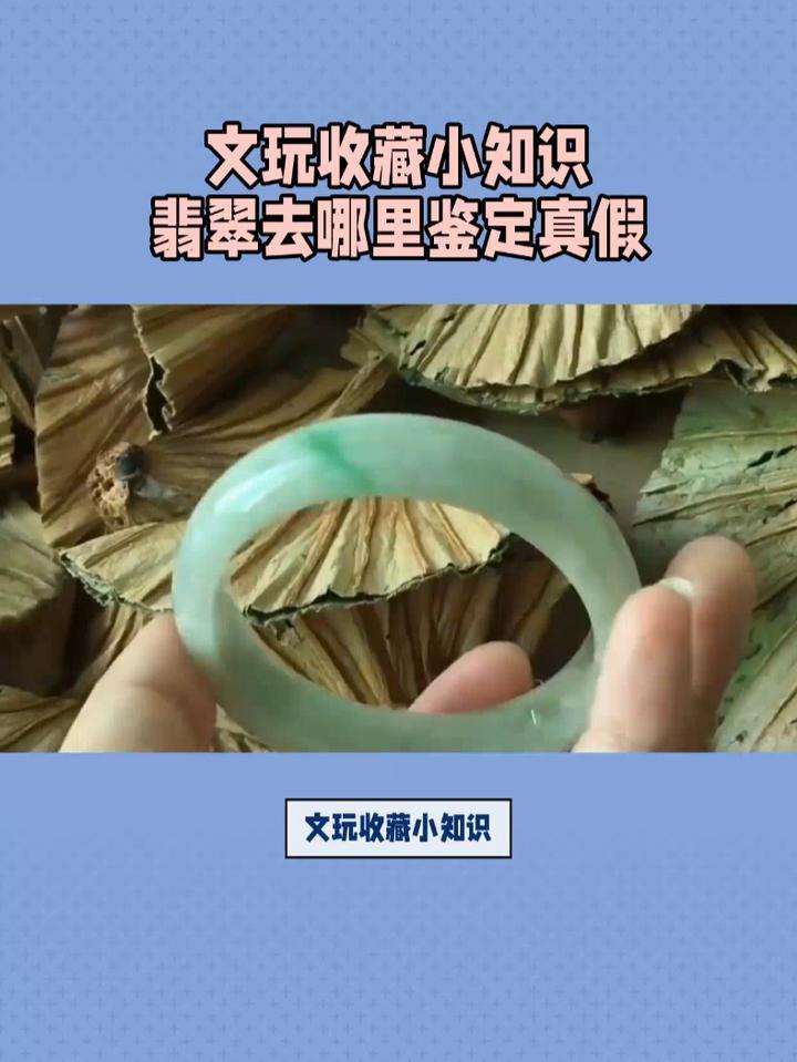 文玩收藏小知识:翡翠去哪里鉴定真假 文玩收藏小知识:翡翠去哪里鉴定...