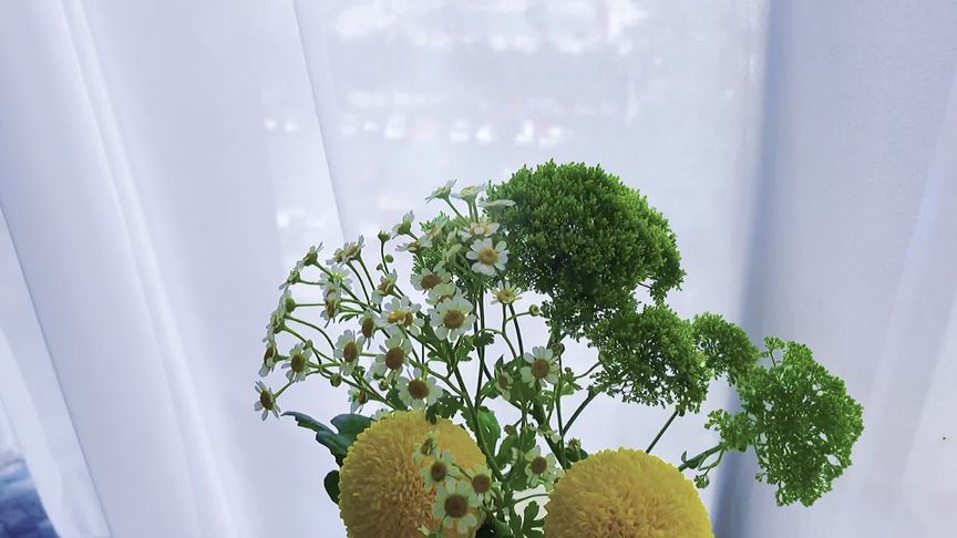 每周一次肤质管理～遵循科学的护肤周期,搭配医疗级的护理方案