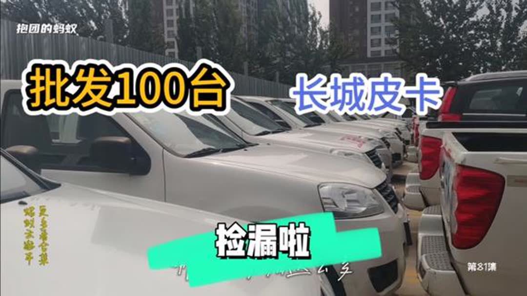 低调的石家庄二手车市场,突然空降一百台长城皮卡二手车,捡漏了