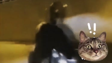 男子带孩子骑车逆行被撞,你怎么看?