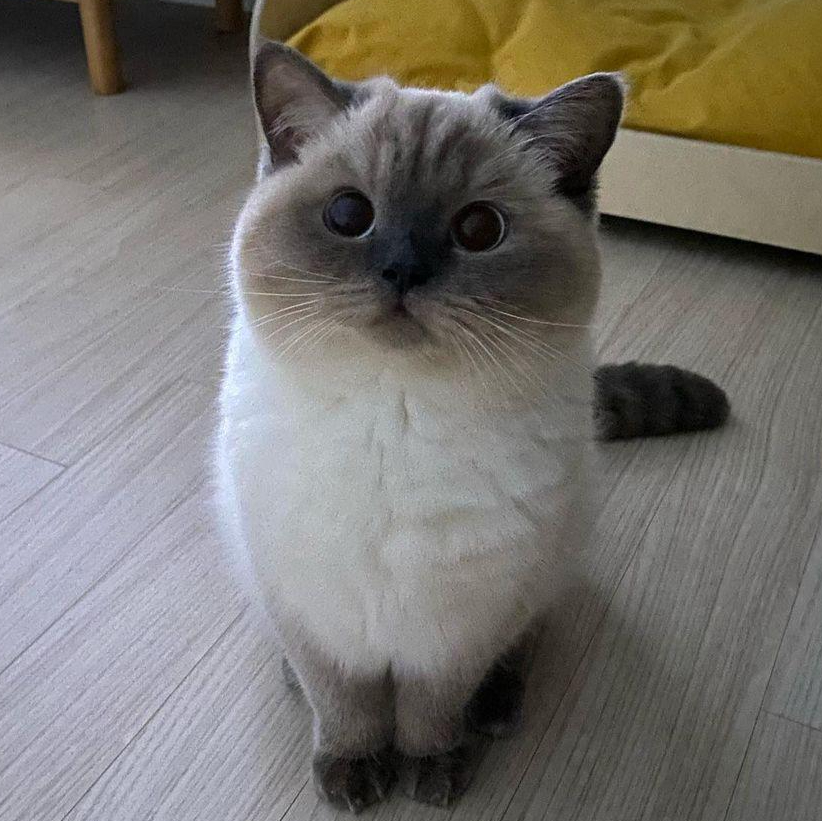 路过の假面凹凸man 