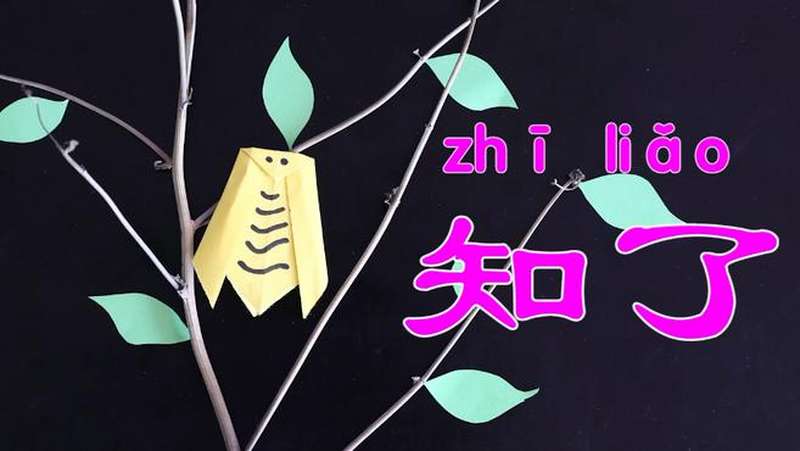 手工折纸小课堂:萌萌哒的知了有点可爱哦!