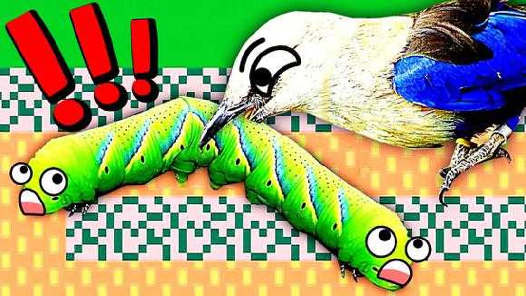 毛毛虫模拟器nbsp;我是个双头毛毛虫,吃变异植物开始进化 小熙解说