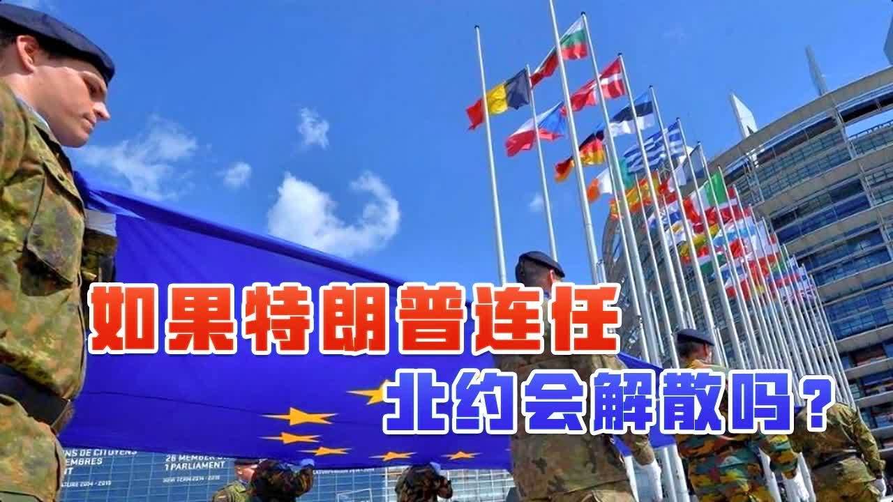 国际关系专家:如果美现任总统连任,北约将很快解散