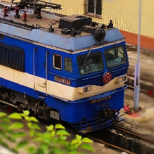 bili_在成局的秋风 