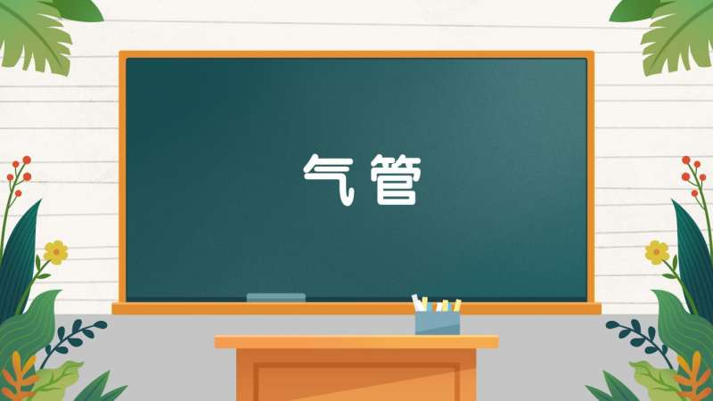字词小课堂:气管