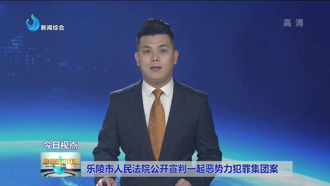 乐陵市人民法院公开宣判一起恶势力犯罪集团案