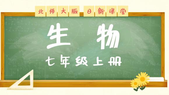 北师大版初中生物7年级上册4.1 细胞分化形成组织