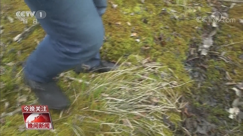 [视频]生物多样性日·探秘万物和谐的美丽家园