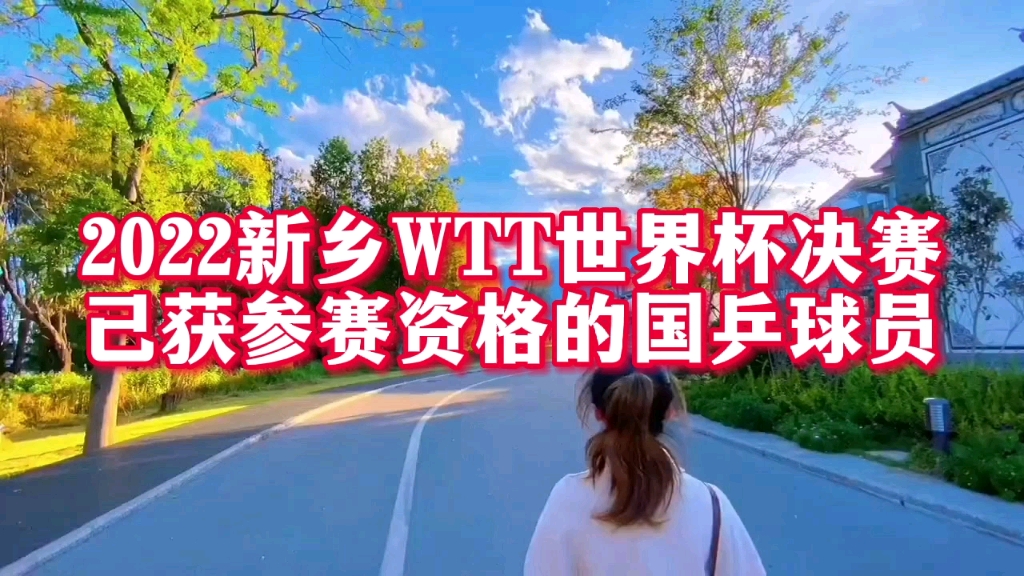 2022新乡WTT世界杯决赛已获参赛资格的国乒球员,樊振东等还有谁