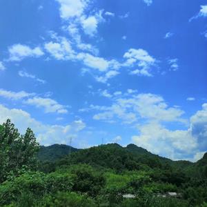 吴杰头条 