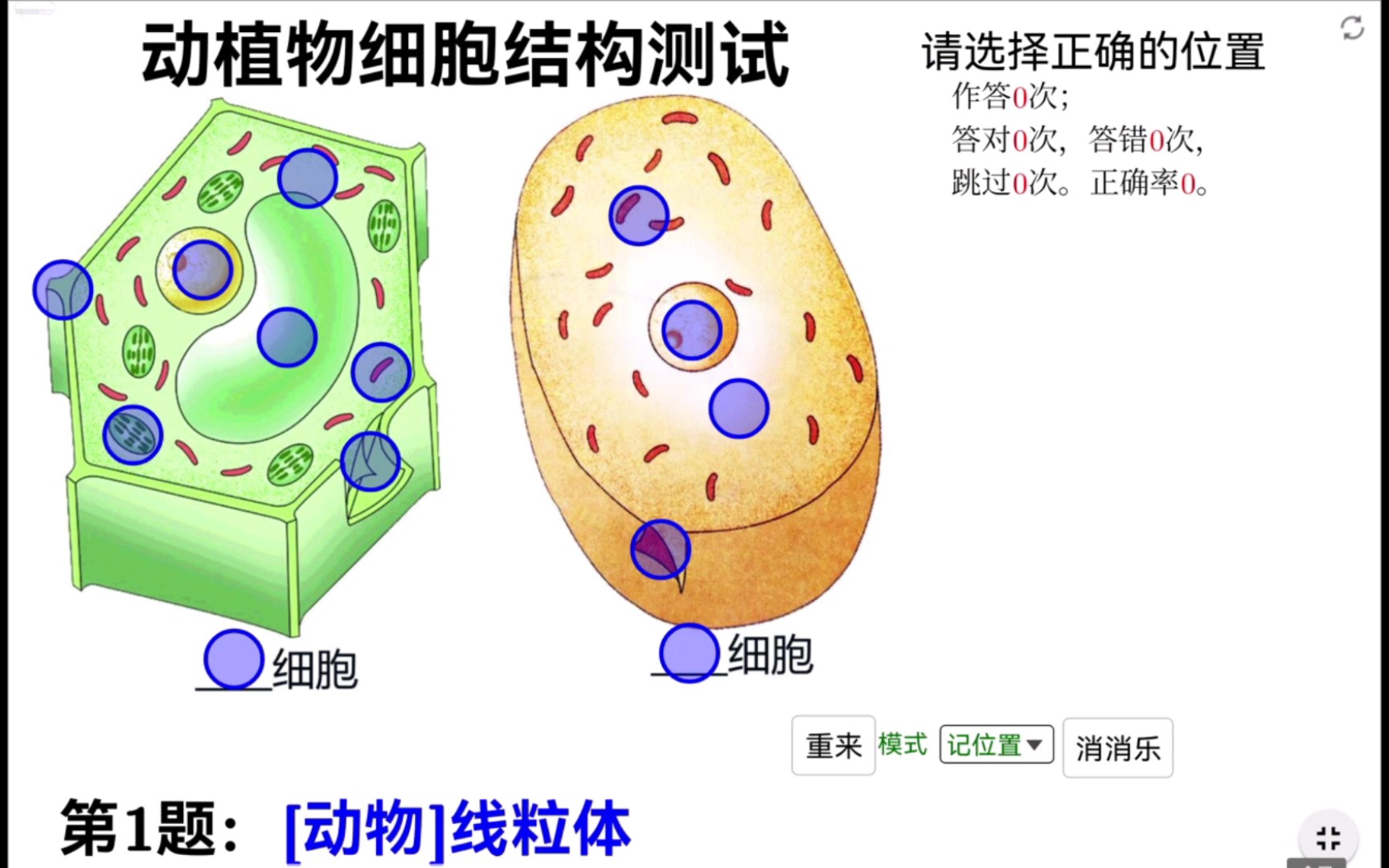 GeoGebra在线多种模式识图游戏:认识动植物细胞的结构。在游戏中...