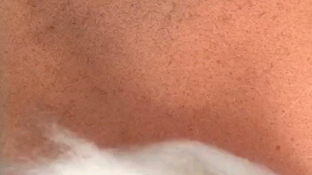 羊毛毡仿真猫咪教程,从入门到放弃只需要三秒