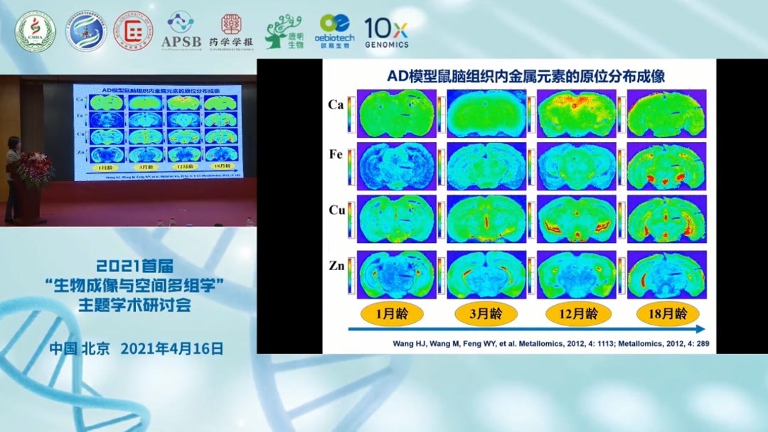 激光剥蚀-电感耦合等离子体质谱技术元素成像分析及生物医学应用